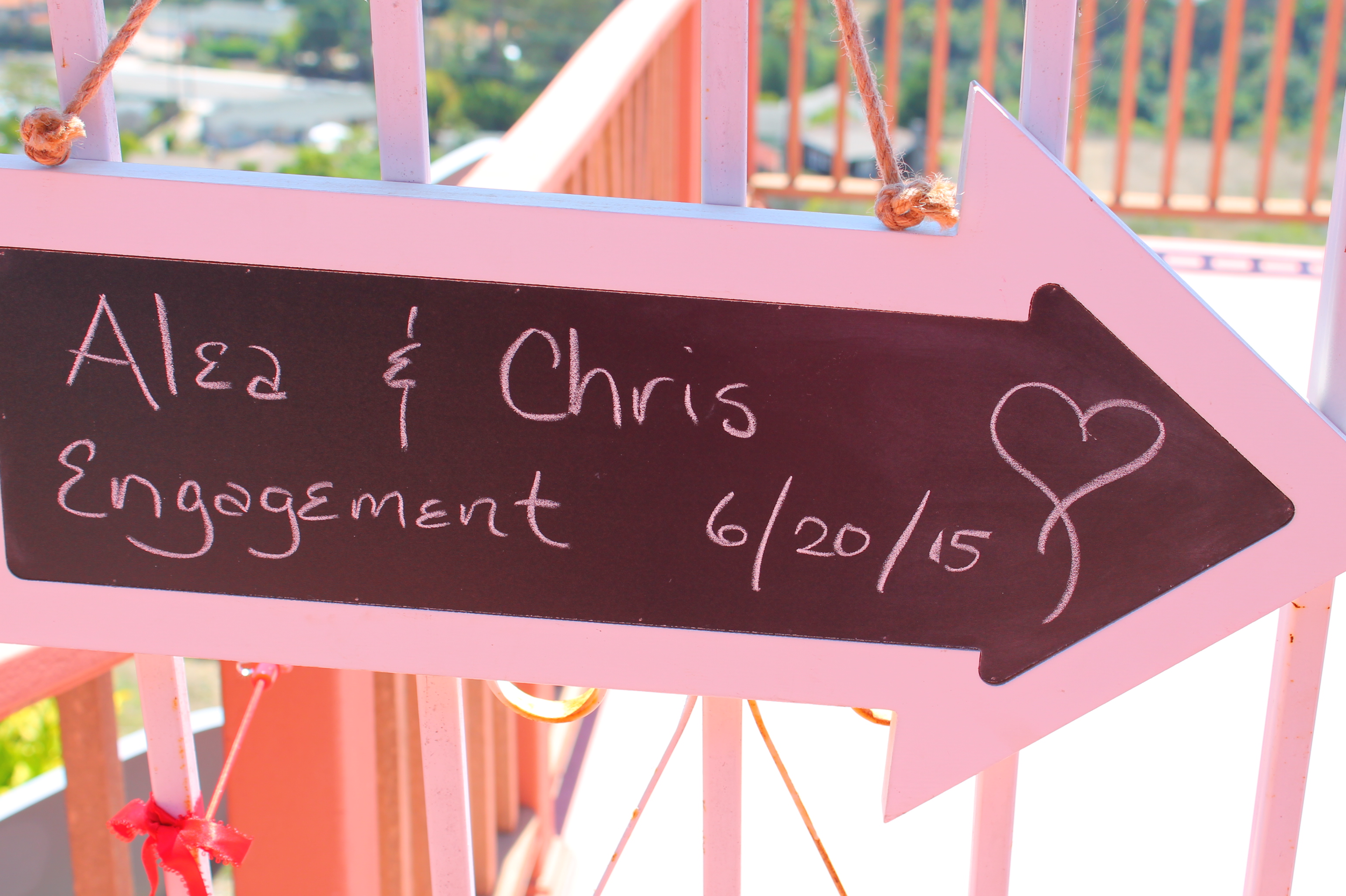 Preview Post: Engagement Party | Chris and Alea